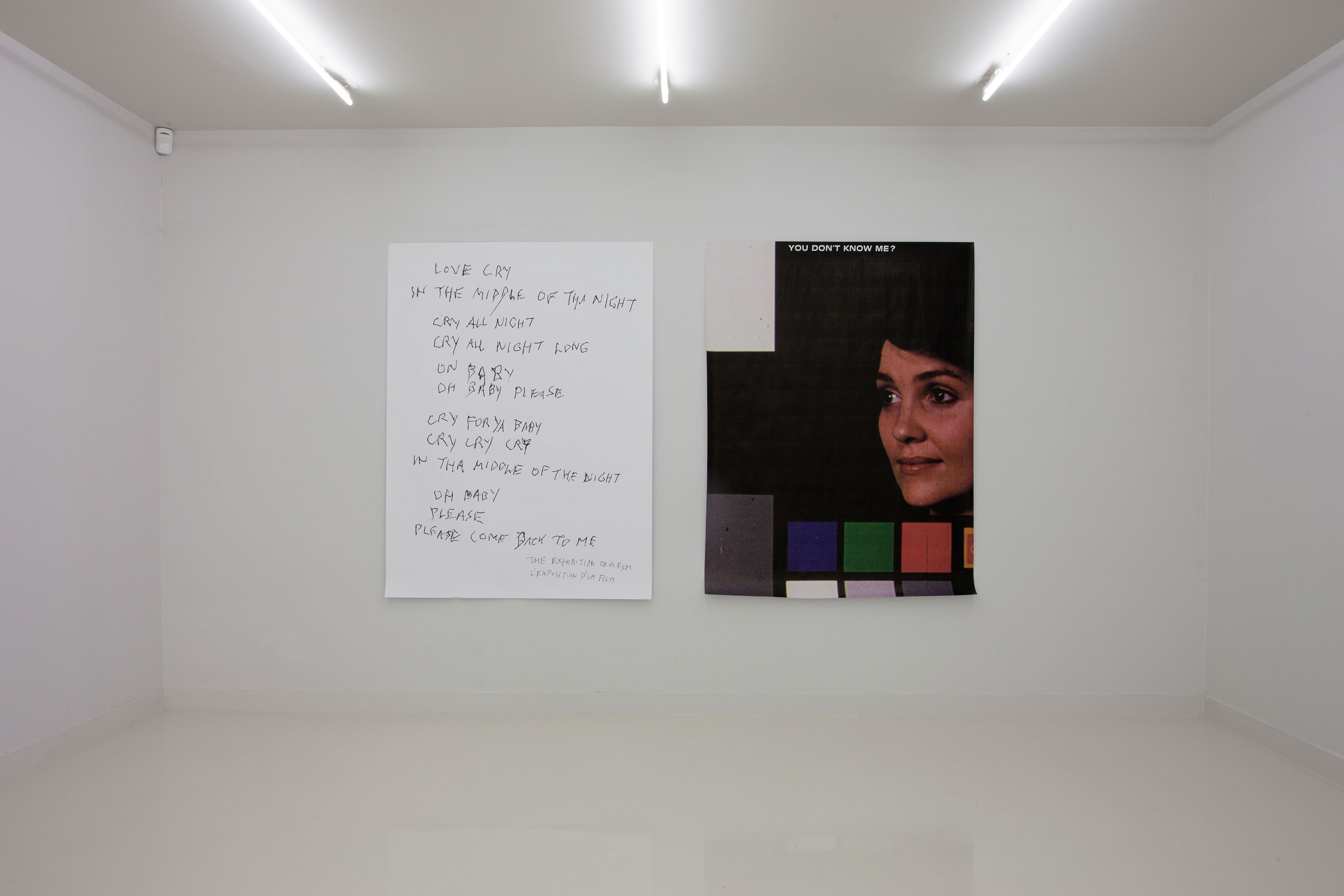 Charles de Meaux — L’Exposition d’un film