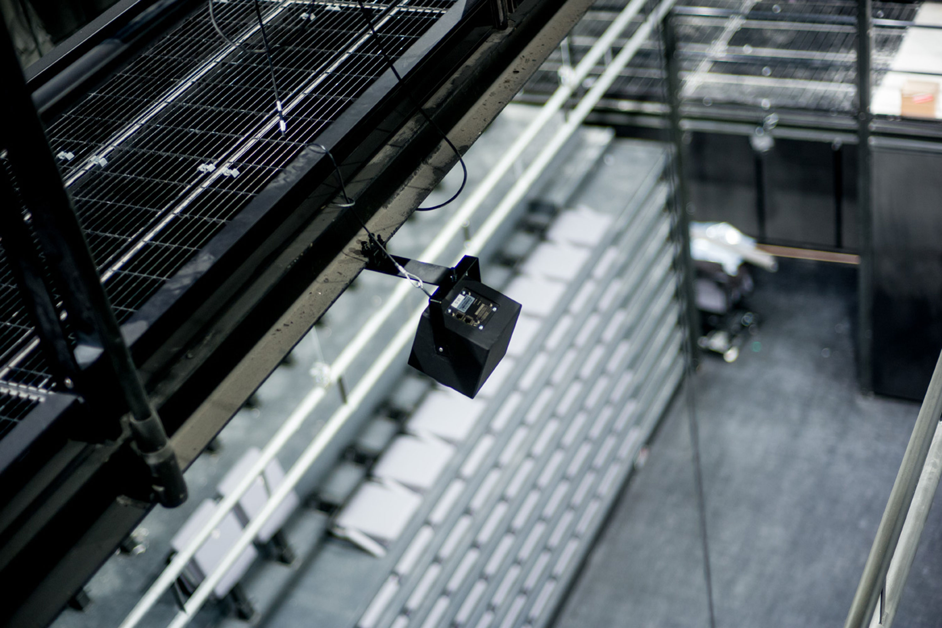 Charles de Meaux — Les Oiseaux