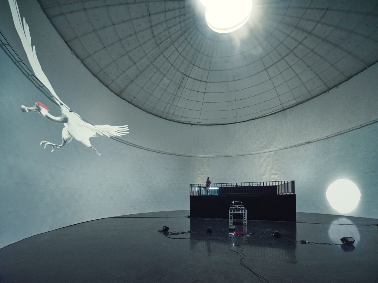 Charles de Meaux — The Bird From The Future